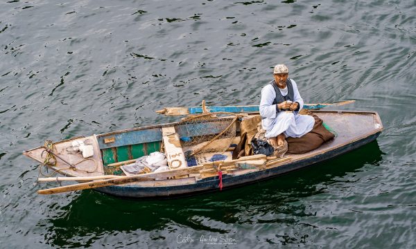 Fotograf profesionist - Călin-Andrei Stan