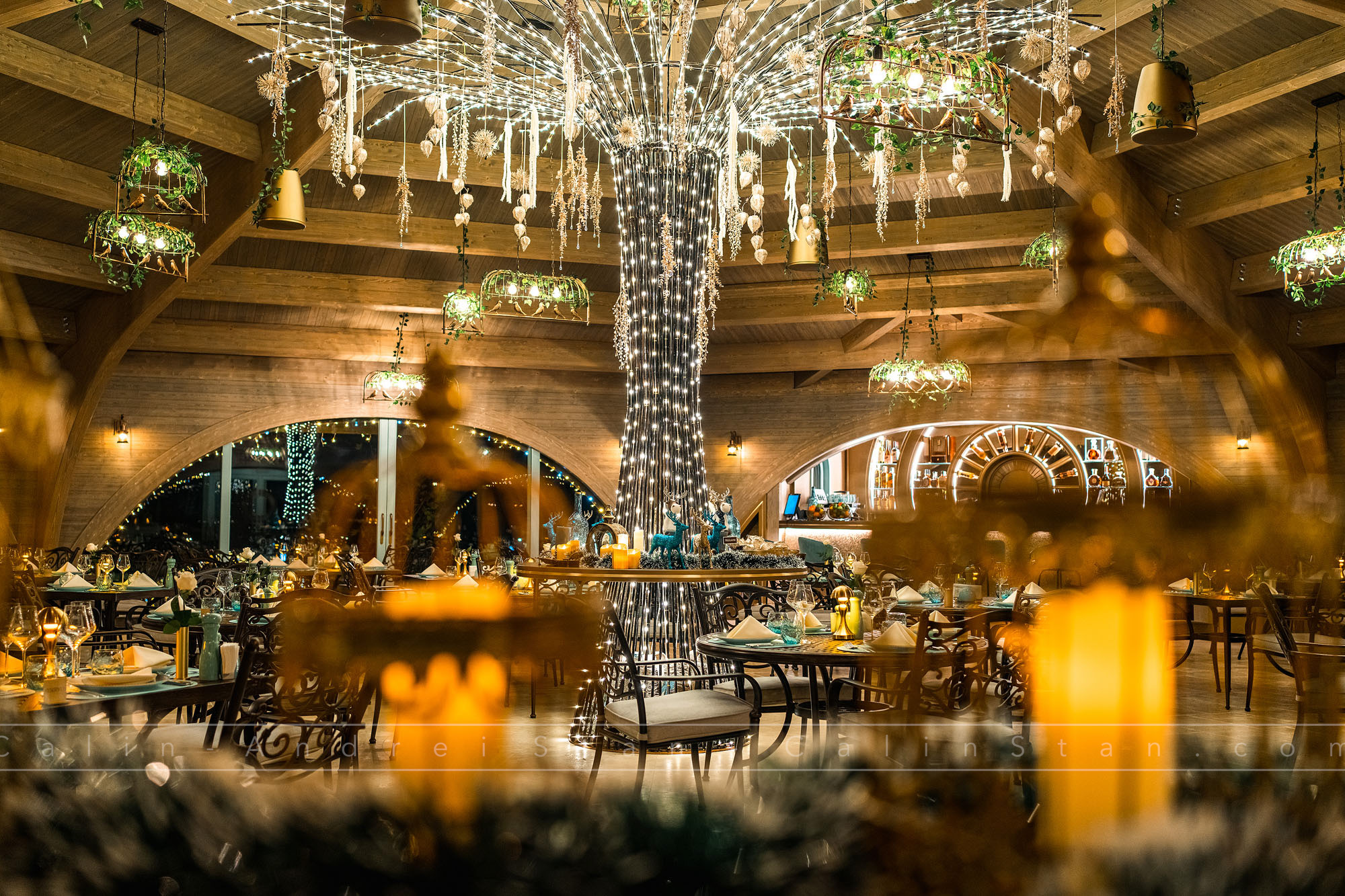 Fotografii pentru noul resort Casa Timiș: bungalouri de lux în stil ...